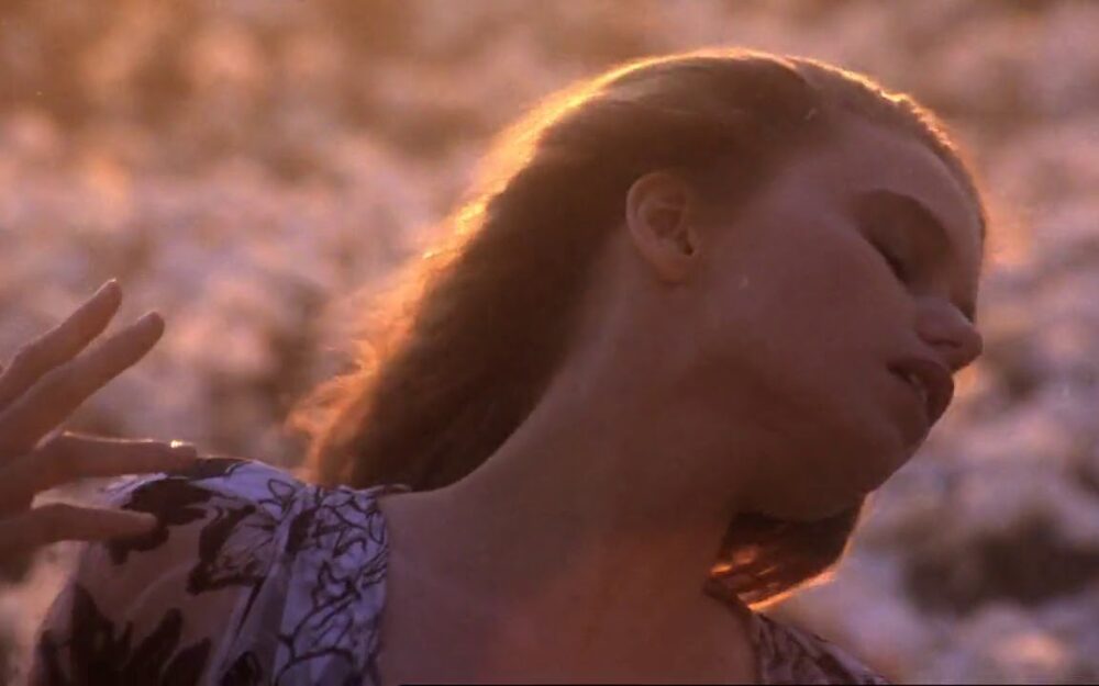 Filmmaster - We are content experience makers